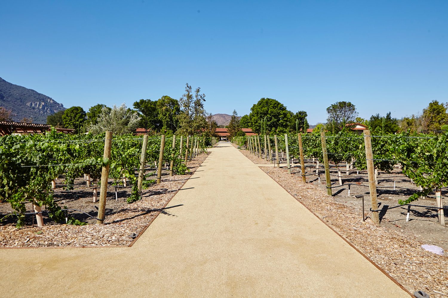 Fantasy Ranch – Wedding Estates