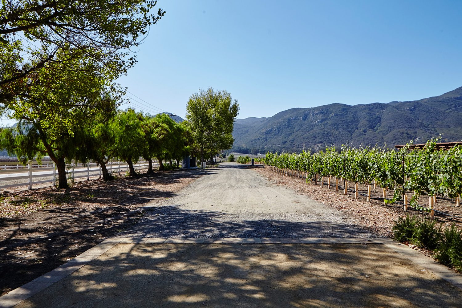 Fantasy Ranch – Wedding Estates