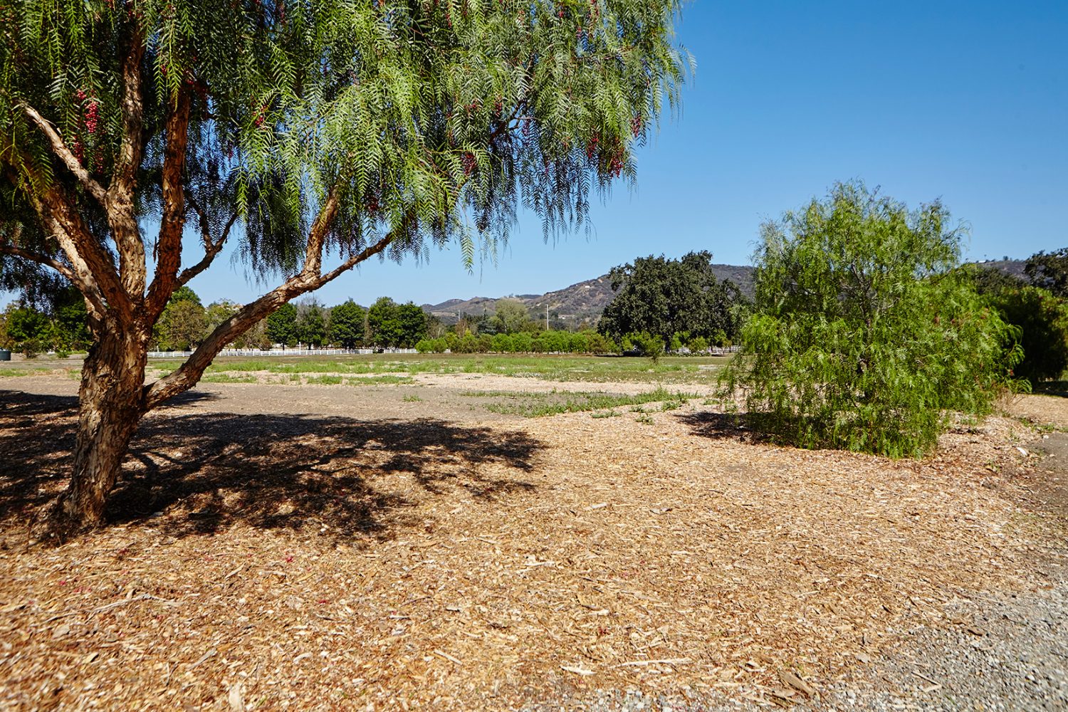 Fantasy Ranch – Wedding Estates