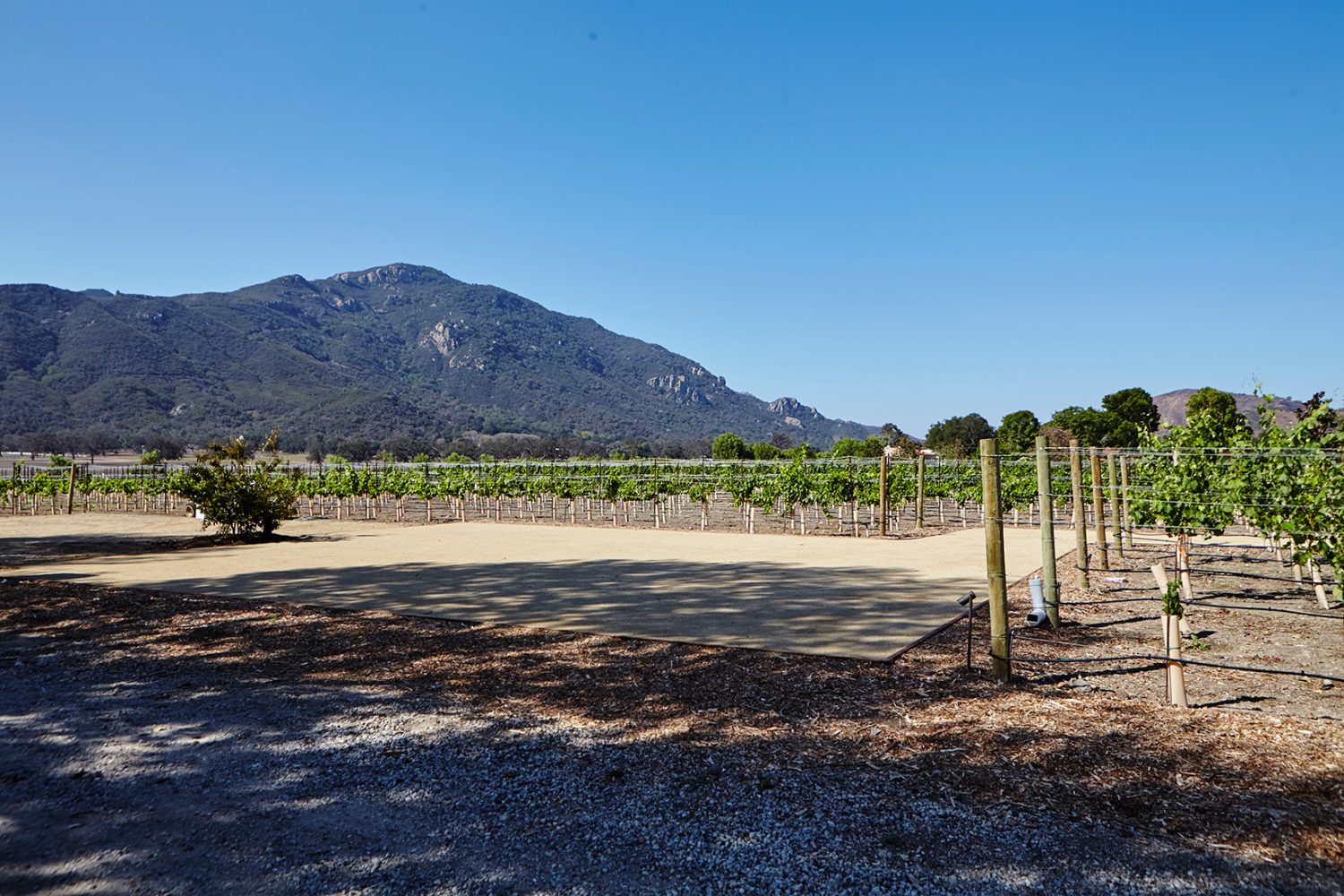 Fantasy Ranch Wedding Estates fantasy-ranch-wedding-estates