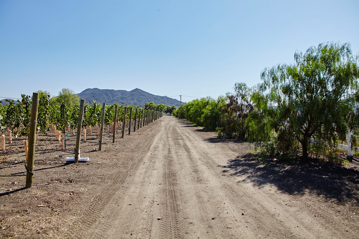 Fantasy Ranch – Wedding Estates