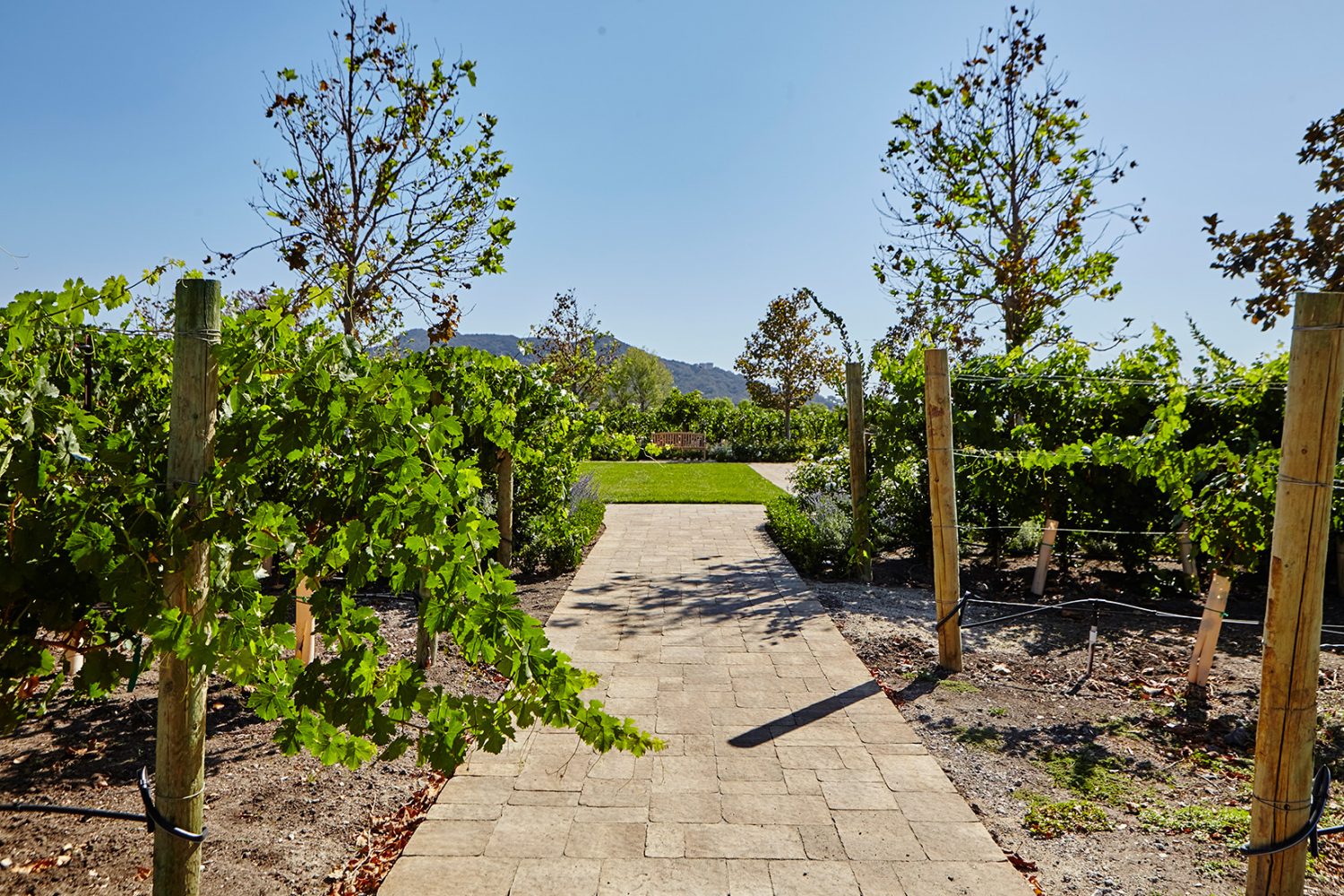 Fantasy Ranch – Wedding Estates