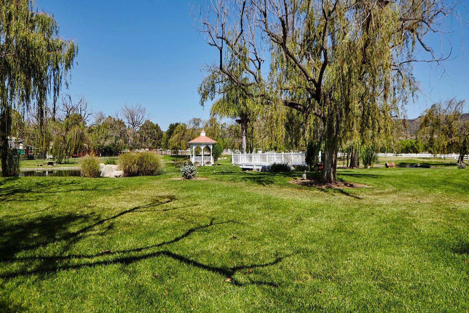 Fantasy Ranch – Wedding Estates