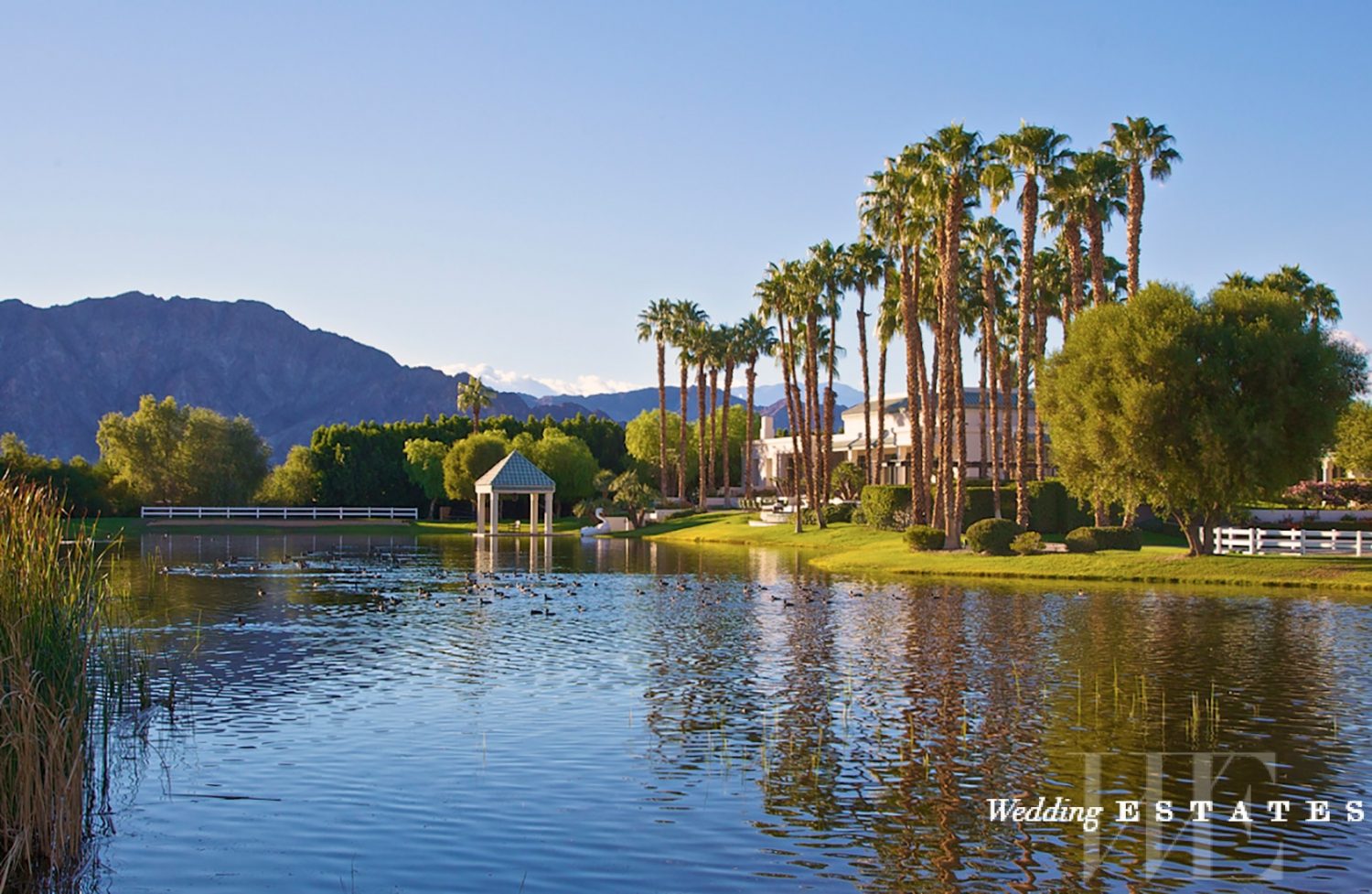 Palm Tree Lake – Wedding Estates