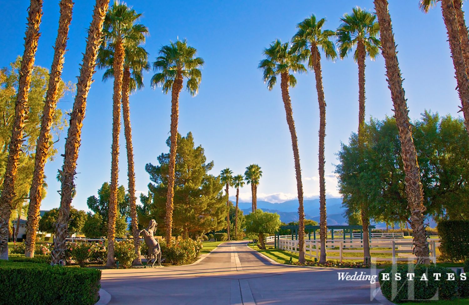 Palm Tree Lake – Wedding Estates