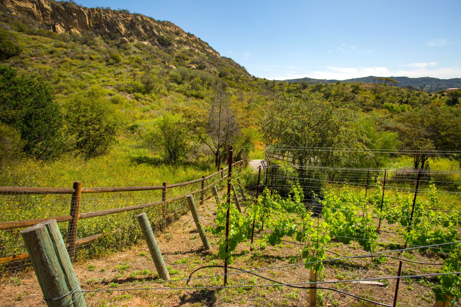 Topanga Ranch – Wedding Estates