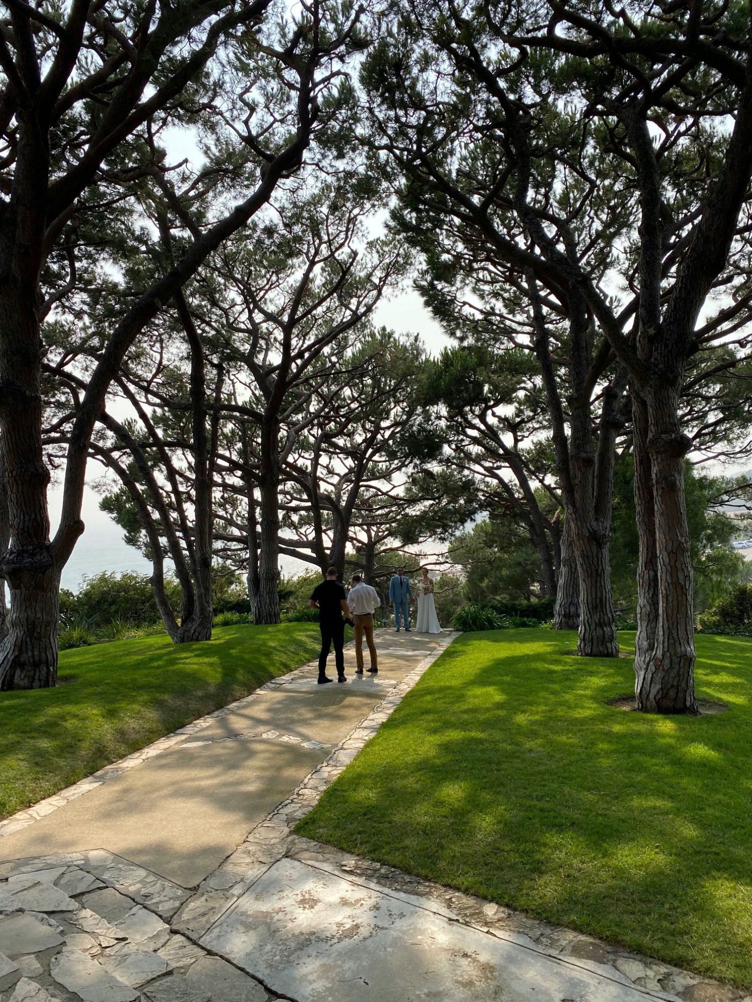 Glass Chapel – Wedding Estates