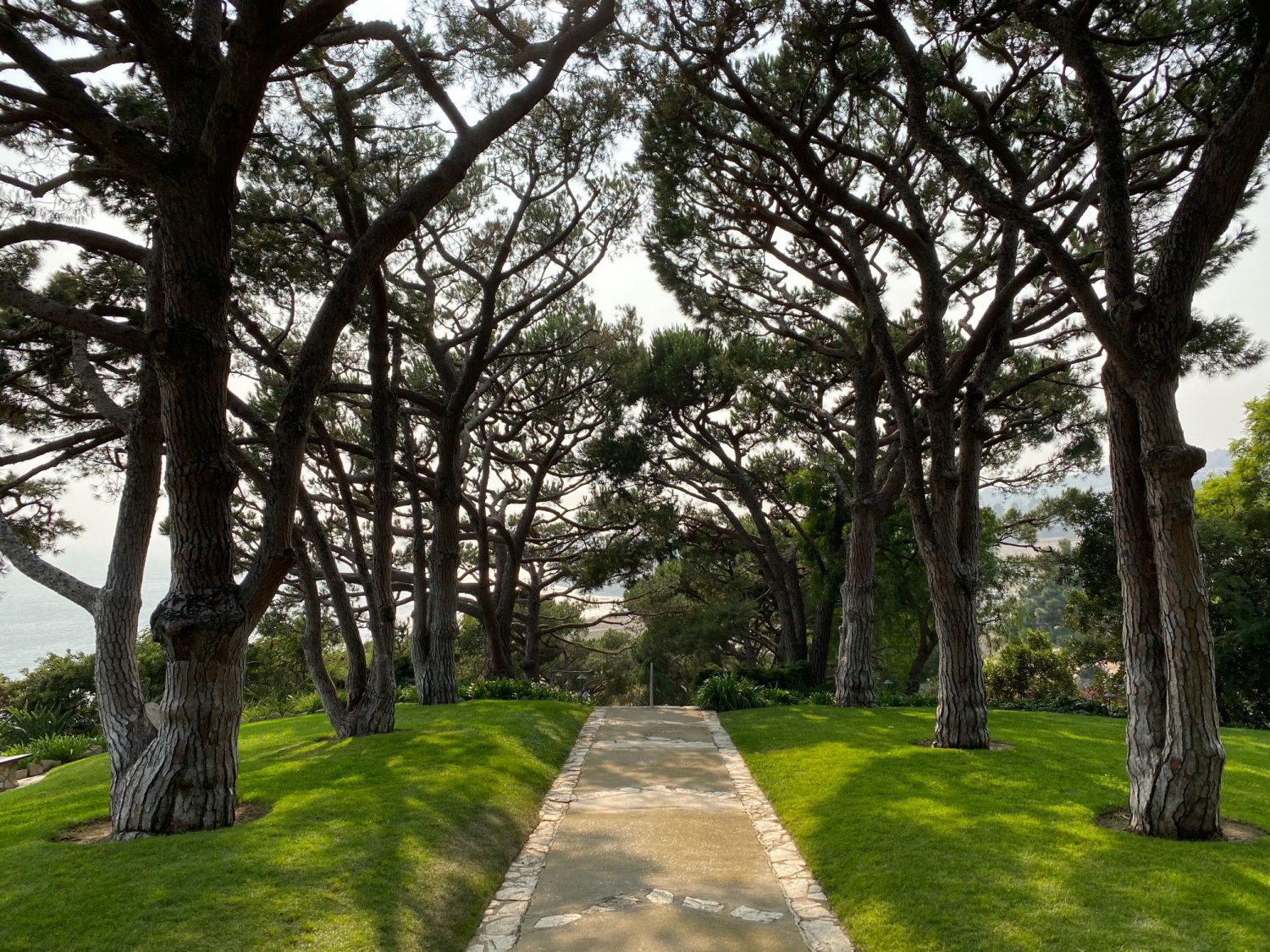 Glass Chapel – Wedding Estates