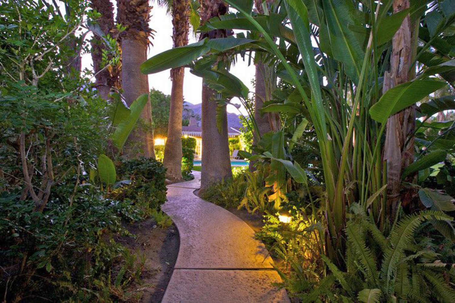 Palm Tree Paradise – Wedding Estates